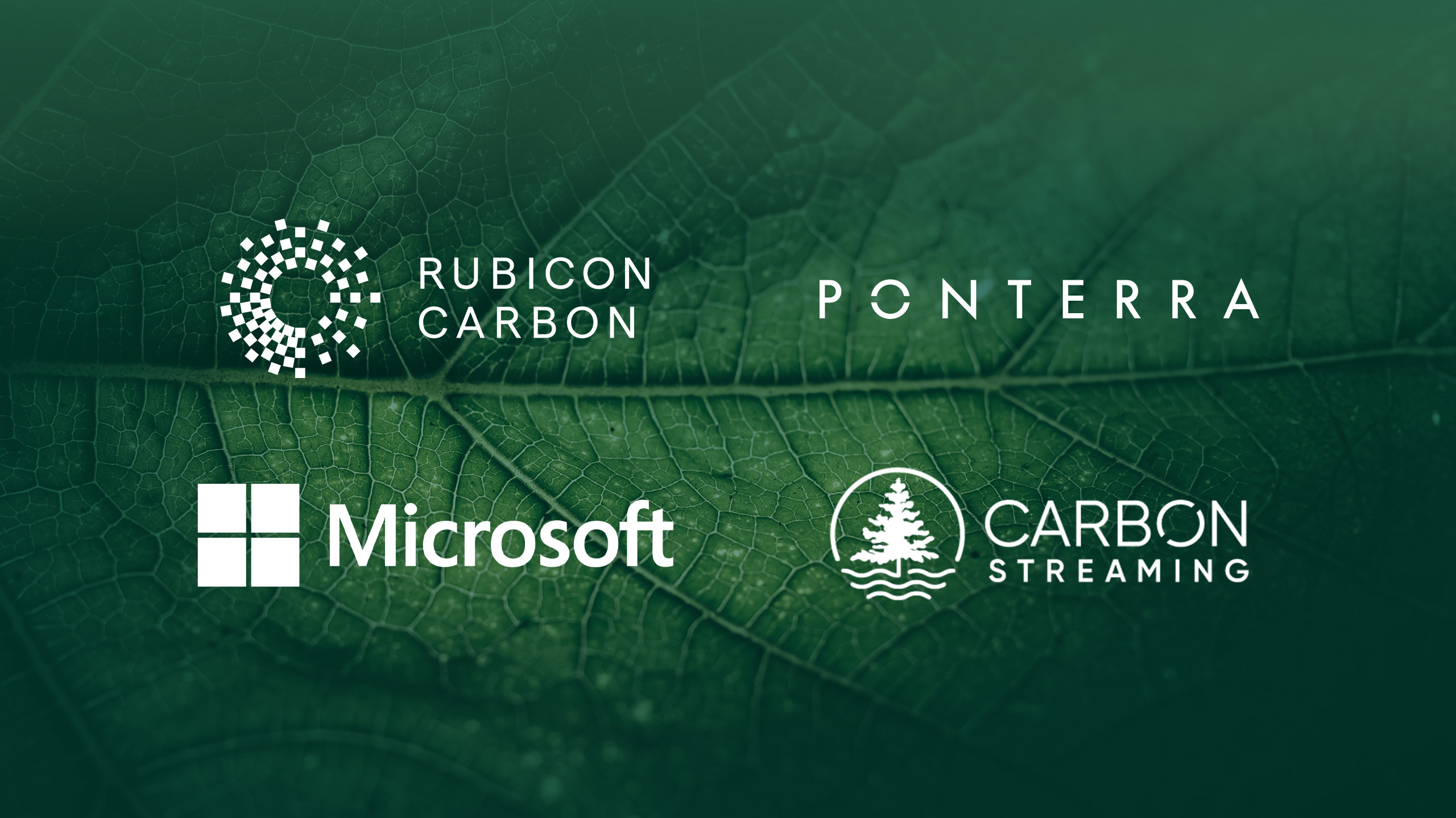 Ponterra, Microsoft, Rubicon Carbon and Carbon Streaming launch 3.2Mt nature-based carbon ...