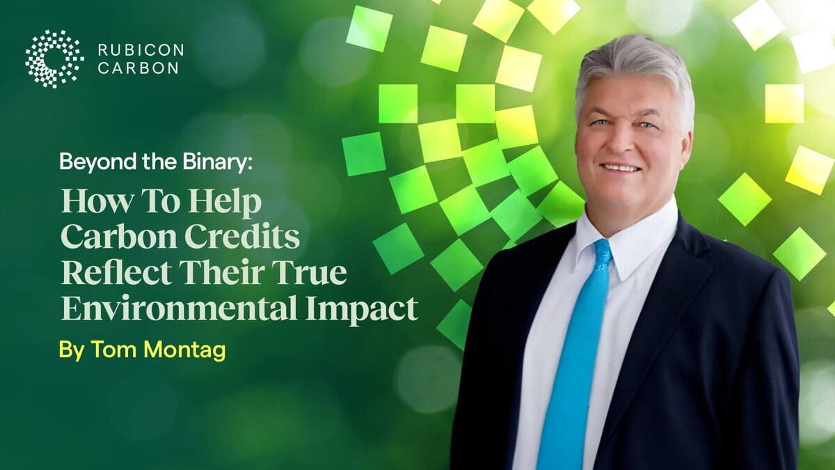 Beyond the Binary: How To Help Carbon Credits Reflect Their True Environmental Impact - Rubicon ...